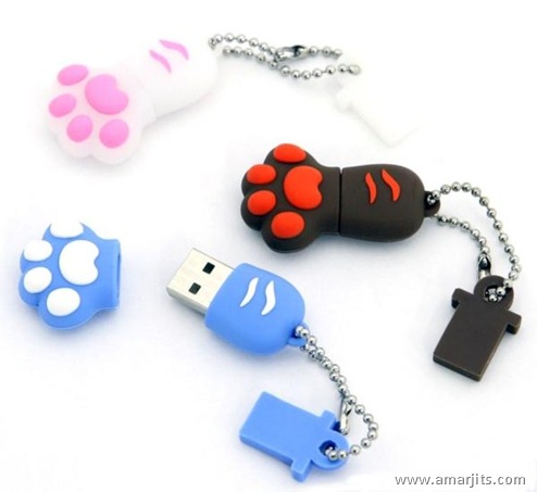 Full Time Pass Blog: Cat Paws USB Flash Disks